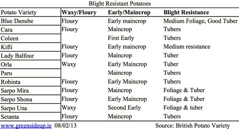 Blight Resistant Potato Varieties Greenside Up
