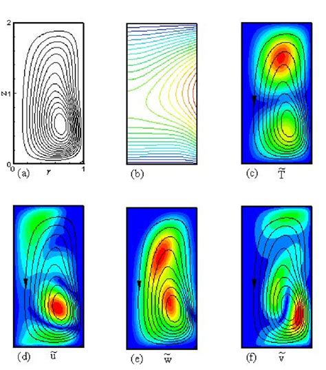 Flow And Perturbation Patterns For A Purely Convective Flow With A