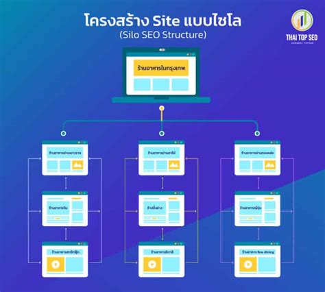 Site Structure คืออะไร มีหน้าที่หรือความสำคัญอย่างไรในการทำบทความ Seo