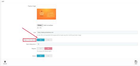 Custom Popup Prestashop Module Softsprint