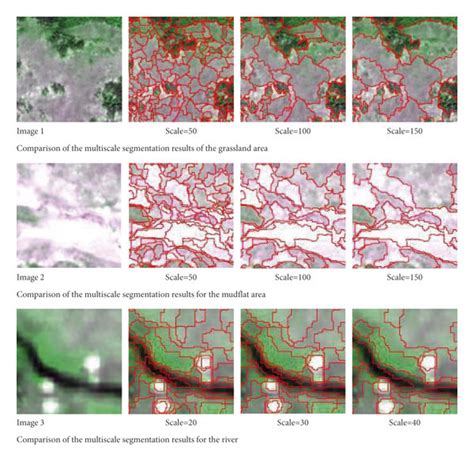 Multiscale Segmentation Of Wetland Type Information Download Scientific Diagram