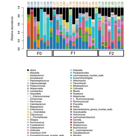 The Taxonomic Tree Heatmap Shows The Composition And Proportion Of Download Scientific Diagram The Taxonomic Tree Heatmap Shows The Composition And Proportion Of Download Scientific Diagram