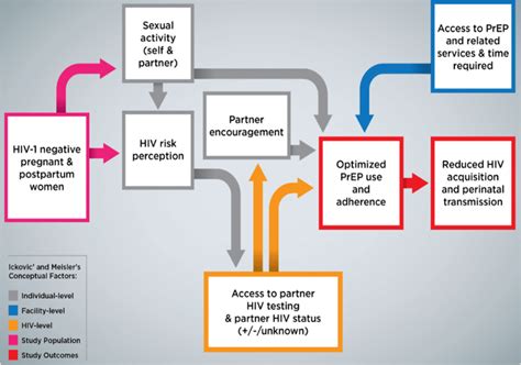 Conceptual Framework For Scope Pp Study Download Scientific Diagram