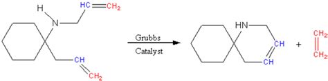 Solved Chapter 26 Problem 25p Solution Organic Chemistry 3rd Edition