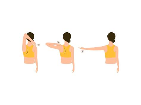 Shoulder Exercise Vector Art Icons And Graphics For Free Download