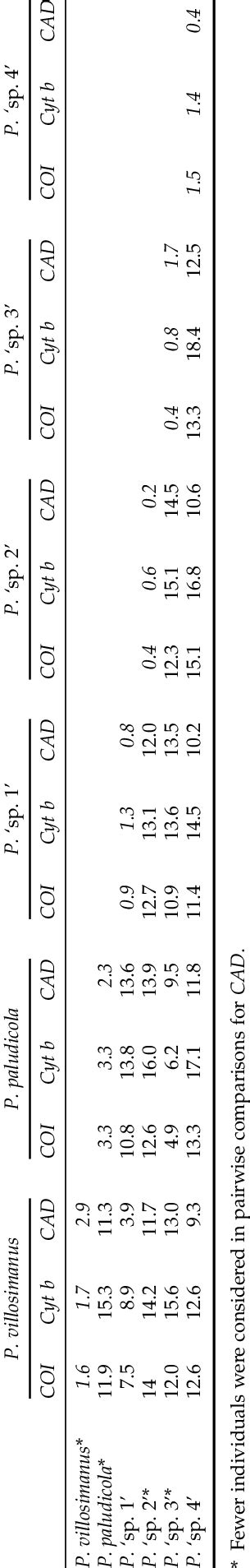 Average Pairwise Sequence Divergence Between Speciesmorphospecies