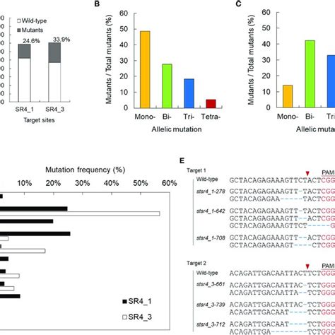 Ribonucleoprotein Rnp Mediated Crispr Cas9 Genome Editing In Potato Download Scientific