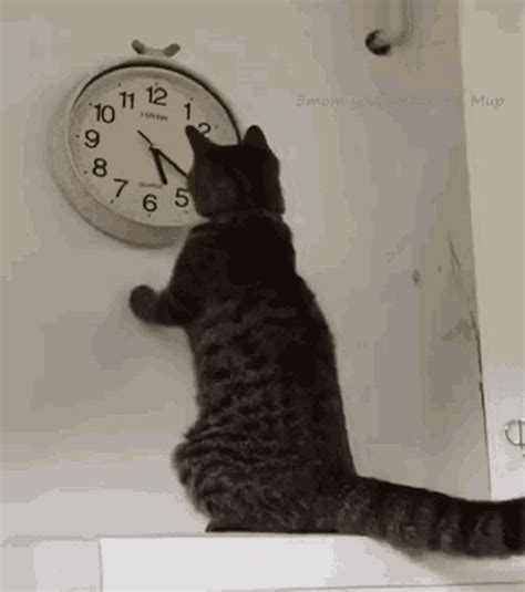 Watching Clock S Tenor