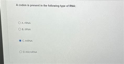 Solved A Codon Is Present In The Following Type Of RNA A Chegg Com