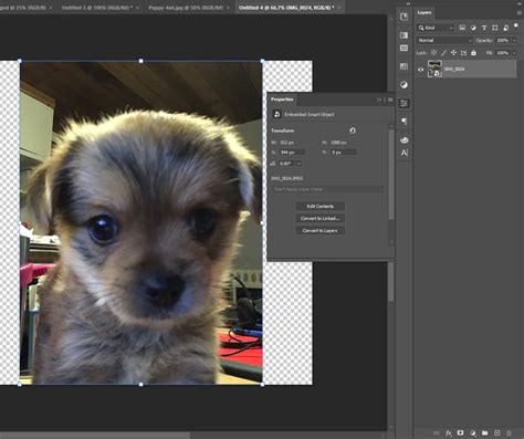 can t delete a selected layer using the delete k page 2 adobe