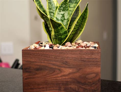Best Types Of Pots For Your Houseplants Backyard Boss