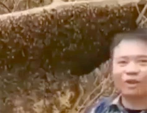 【閲覧注意】巨大なミツバチの巣を壊したdqn、今から恐ろしい死に方します・・（動画あり） ポッカキットポッカキット