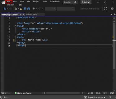 How To Open The Solution Explorer In VS Code