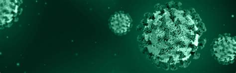 Home Decode Science Enabling Discovery For Australian Life Science