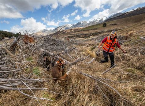 Fetch New Zealand Geographic
