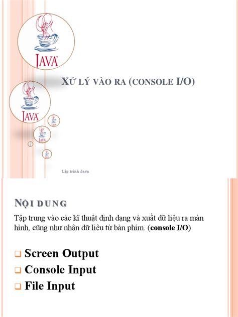 Console Input And Output Pdf