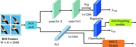 Schematic Diagram Of Decoupled Head The Classification Branch Contains