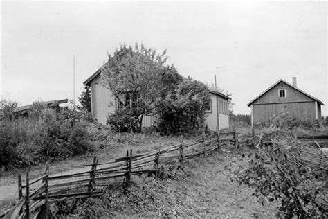 Roine Antti Koskela Kosken Kohinat