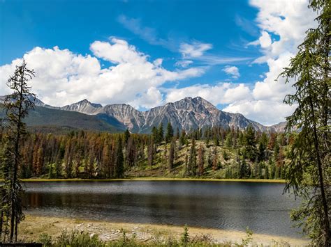 Mina Riley Loop Hiking Route Description In Jasper