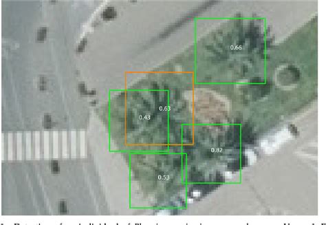 Figure From Individual Palm Tree Detection Using Deep Learning On RGB Imagery To Support Tree