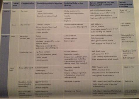 NASM CPT Chapter Flashcards Quizlet
