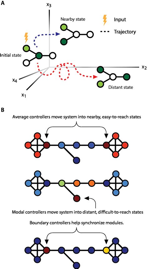 Network Control Theory And Metrics To Describe Control Strategies A Download Scientific