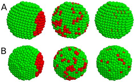 Distinct Structures Of Binary Mixtures Complete Sorting Shell Core