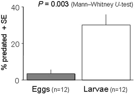 Predation On Conspecific Eggslarvae The Proportion Of N Womersleyi