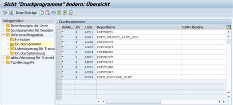customizing sap