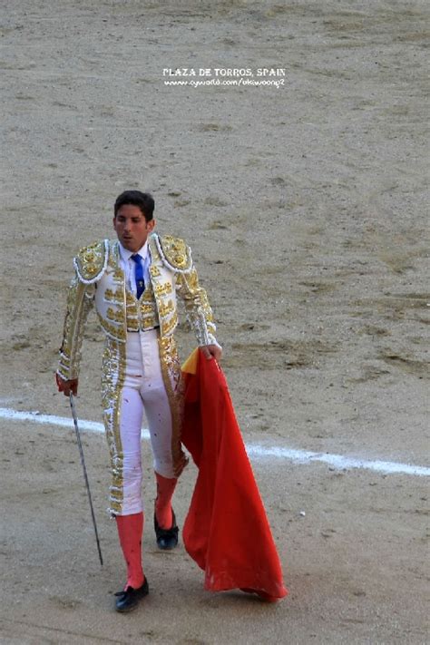 Bull Fight 투우 황소와 투우사의 숨막히는 신경전 두피디아 여행기