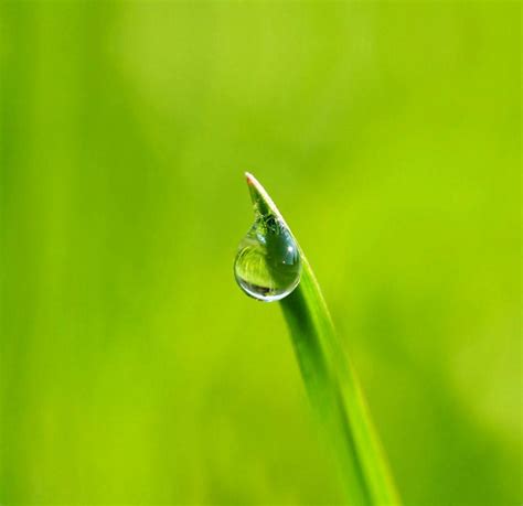 Drip Wallpapers Top Free Drip Backgrounds Wallpaperaccess