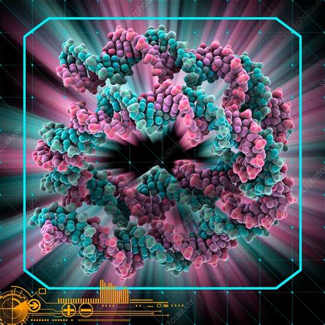 Nucleosome Dna Molecule Stock Image C0354997 Science Photo Library