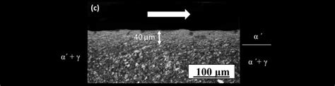 6 Cross Section Of Samples And Surface Microhardness Variation After Download Scientific