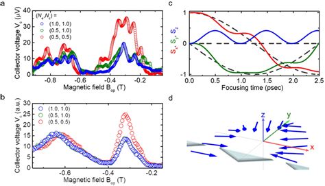 Experiment Of Spin Polarized Transverse Magnetic Focusing And Monte