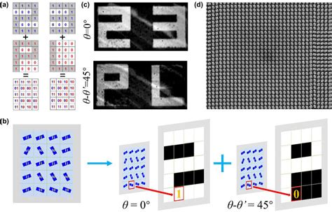 schematic and experimental demonstration of the polarization encoded