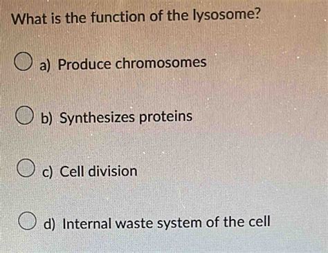 Solved What Is The Function Of The Lysosome A Produce Chromosomes B