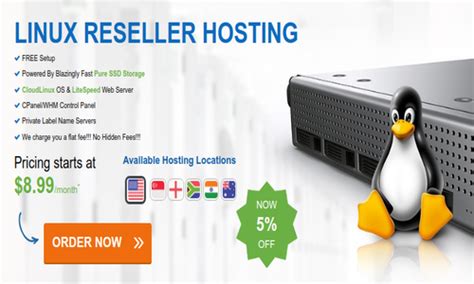 Best Reseller Web Hosting With Whm Cpanel Accuweb Hosting