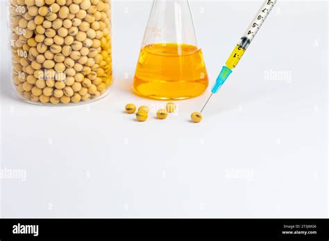 Soybeans With Syringe Genetically Modified Crops Herbicide And Insect Resistant Crops And