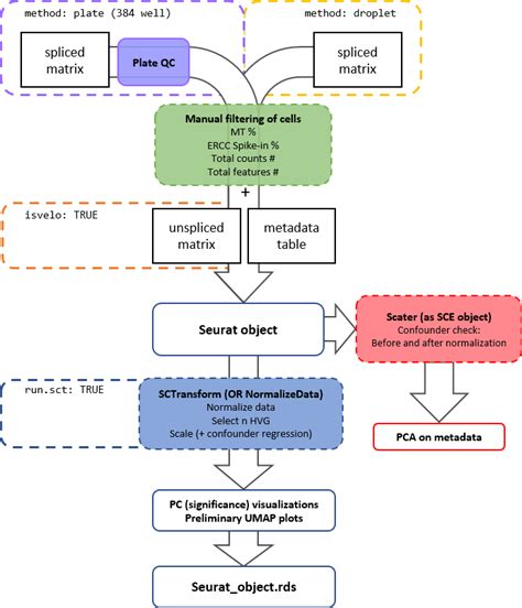 Github Rebecza Scrna Seq From Fastq To Preprocessed Seurat Object
