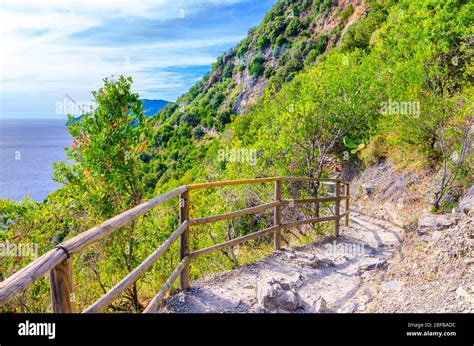 Pedestrian Hiking Stone Path Trail With Railing Between Corniglia And