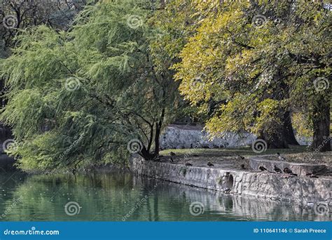 Lazy River In The Park Stock Photo Image Of Bank River 110641146