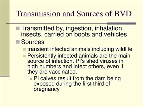 Ppt Bvd Powerpoint Presentation Free Download Id 376739