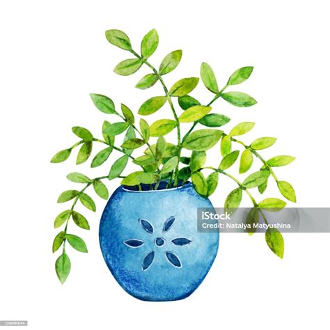 화분에 심은 꽃 녹색 식물 엽서 표지 광고 상점의 디자인을 위해 흰색 배경에 고립 된 손 수채화 그림 0명에 대한 스톡 벡터 아트 및 기타 이미지 Istock