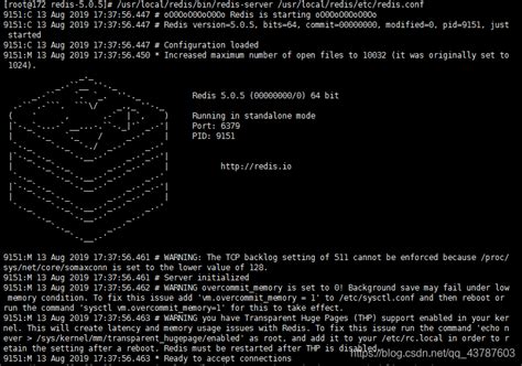 解决： Bash Redis Server 未找到命令 Csdn博客
