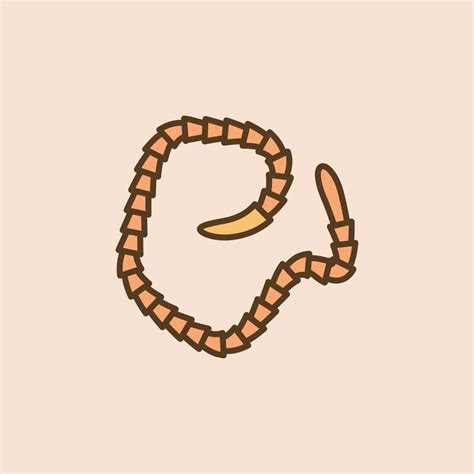 Tapeworm Vector Segmented Worm Concept Colored Icon 15770087 Vector Art At Vecteezy