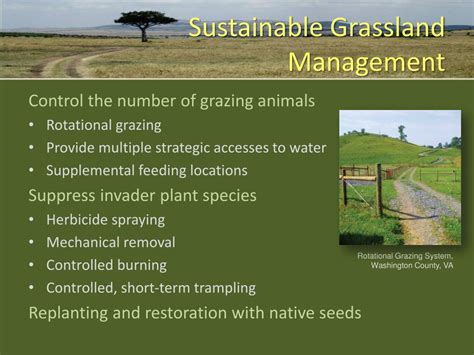 Ppt Managing And Sustaining Grasslands Powerpoint Presentation Free Download Id5899834