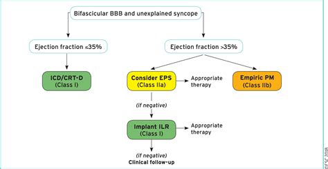 Cardiac Syncope Management Cardio Guide