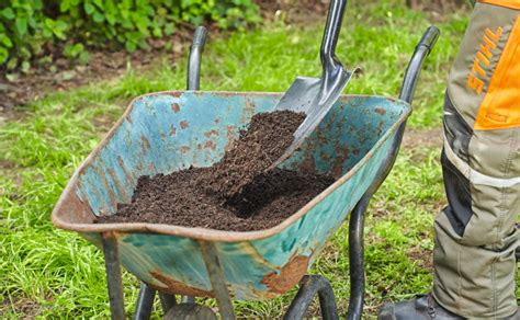 COMPOST A TREE STUMP CREATE A FLOWER BED STIHL Blog