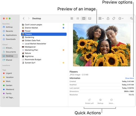 Use the Preview pane in the Finder on Mac – Apple Support (UK)