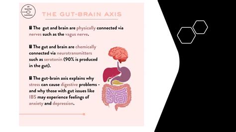 Gut Brain Axispptx Bidirectional Communication Pptx
